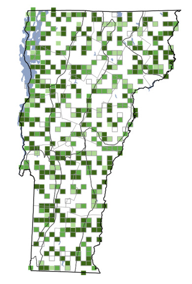 American Redstart | Vermont Atlas of Life