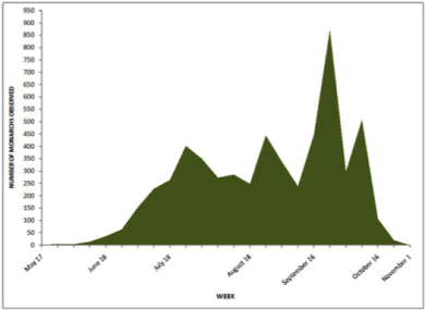 Monarch | Vermont Atlas of Life