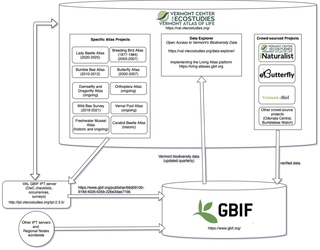 Big Biodiversity Data Now at Your Fingertips | Vermont Atlas of Life