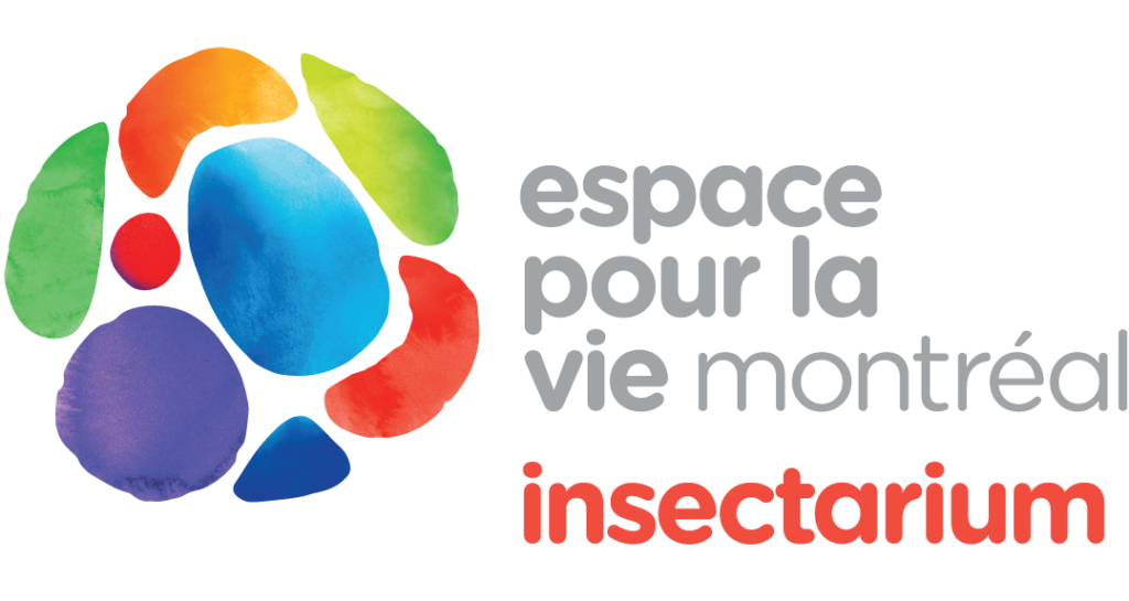 vermont butterfly checklist | Vermont Atlas of Life